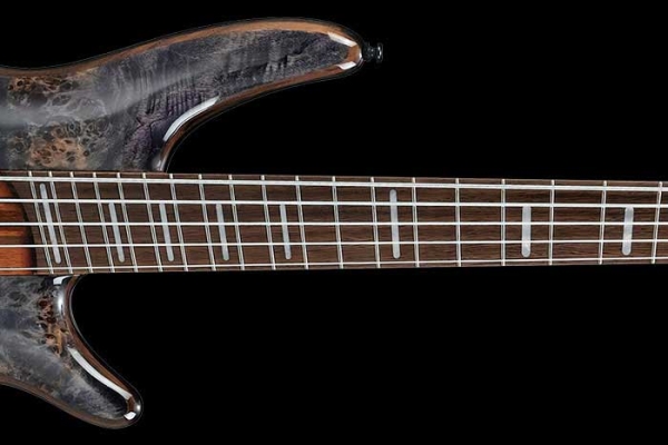 Ibanez SRMS805 TSR SR Bass Workshop Multiscale 5 String Bass Guitar ...