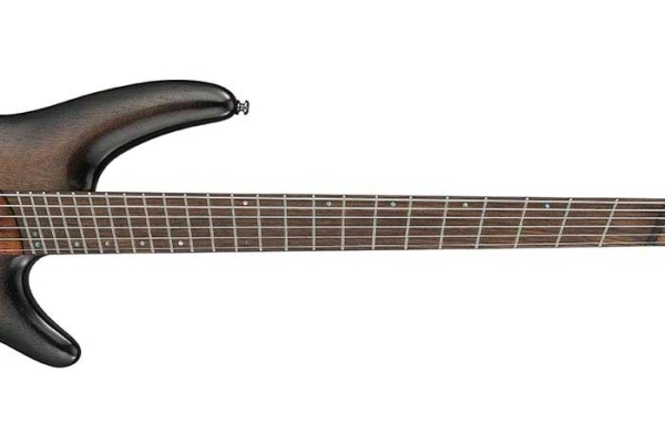 Ibanez SRC6MS BLL SR Bass Workshop Multiscale 6 String Bass Guitar with ...