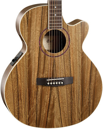 Cort SFX-DAO Nat CE304T Electro Acoustic Guitar with Gig Bag ...