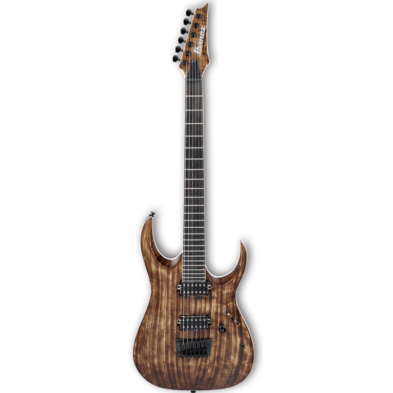 Ibanez RGAIX6U ABS Premium RG Iron Label 6 String Electric Guitar ...